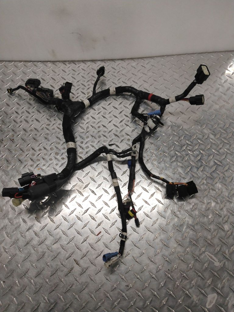 MAIN HARNESS, LE PREM | MIC Parts